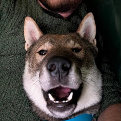 Kangie (@Kangie@treehouse.systems) - Treehouse Mastodon
